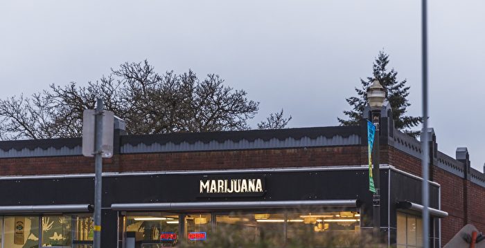 Cookies北加州新大麻店名稱引關注 | 大麻零售店 | 北加州尤凱亞Ukiah | 大紀元